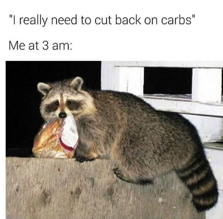 The internet’s best random memes for people who don’t take themselves ...