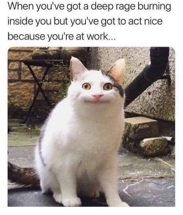 29 Work Memes That Make The Day More Tolerable – Garlic Soda