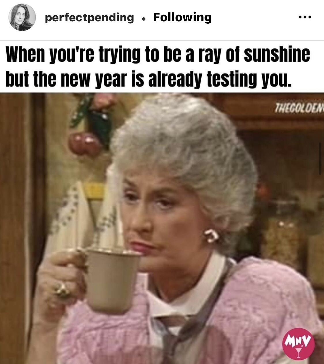 The Funniest January Memes on the Internet – Garlic Soda