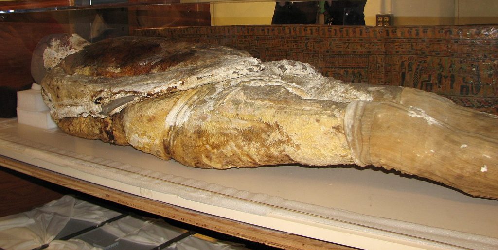 The strange, untold history behind famous museum exhibits – Garlic Soda