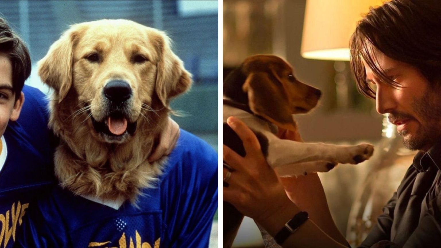 30 TV and movie pets that had no business being that iconic – Garlic Soda